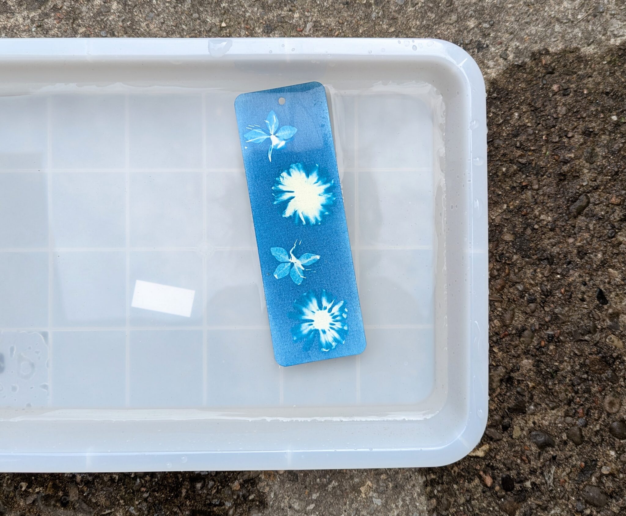 How to make cyanotype bookmarks: a simple DIY for book lovers – Ad Hoc ...